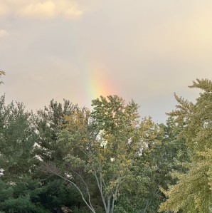 Lauren MG Doyle – 🌻Wife | Mom | Fighter🌻