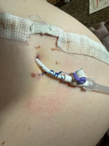 Lauren MG Doyle – 🌻Wife | Mom | Fighter🌻